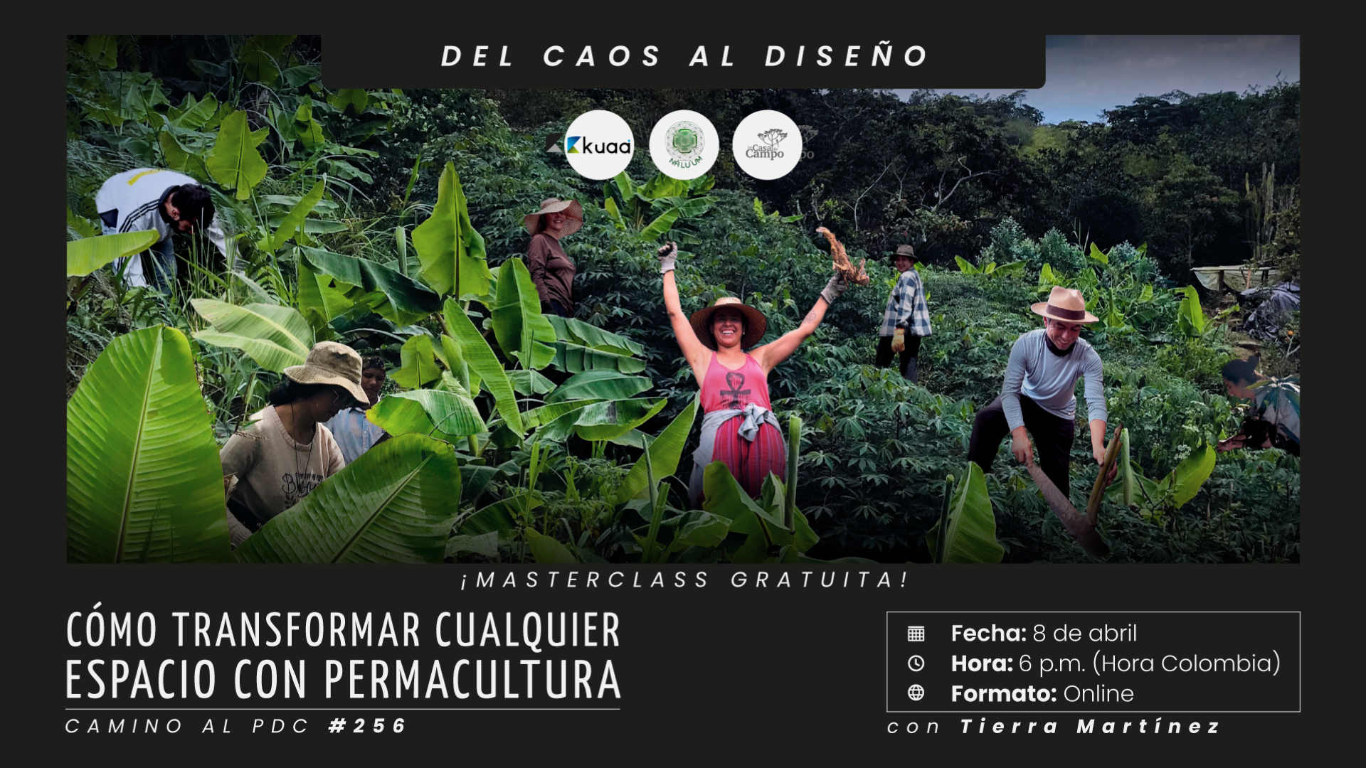 Del Caos al Diseño - Kuaa